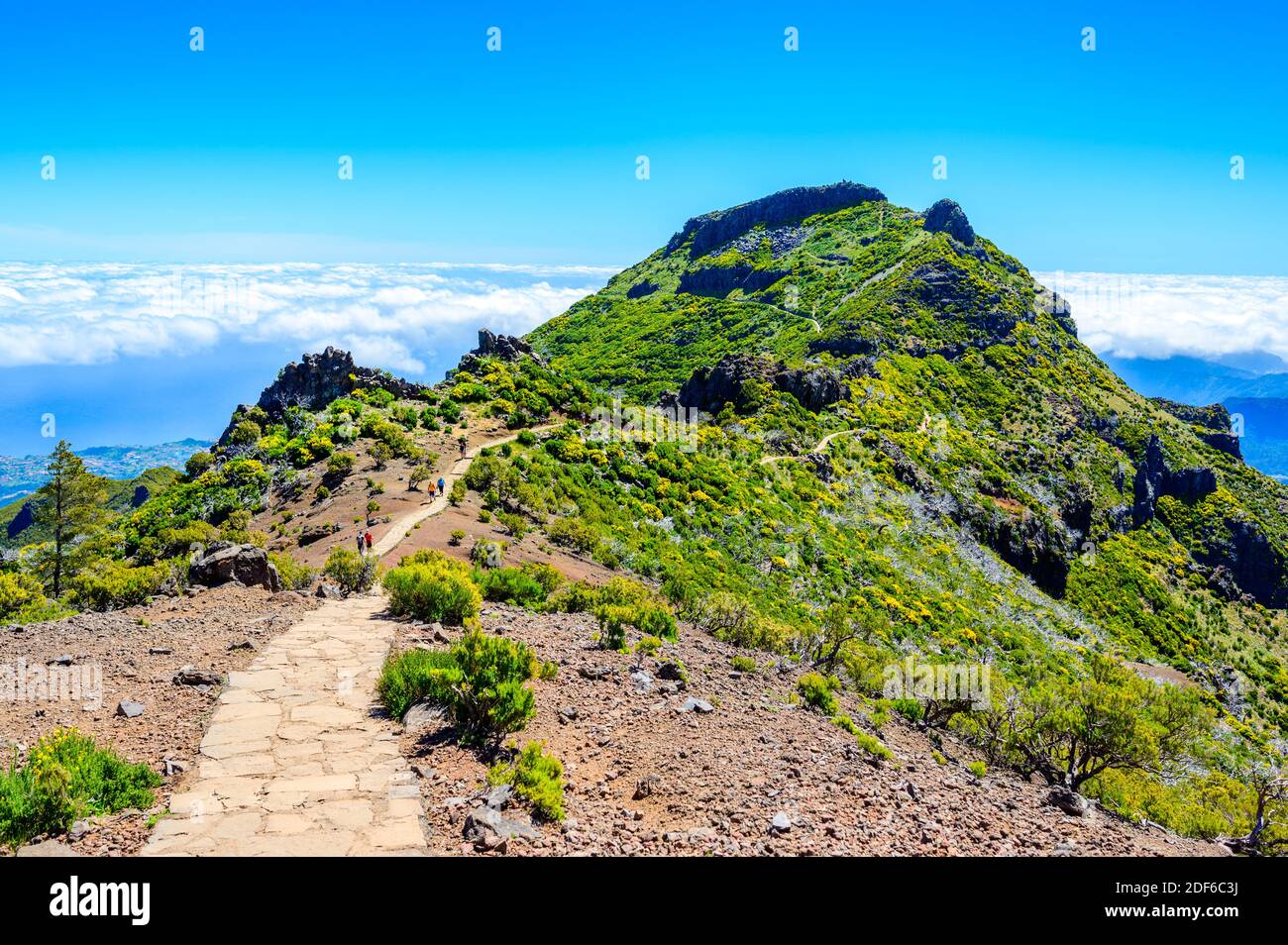 Achada da madeira -Fotos und -Bildmaterial in hoher Auflösung – Alamy