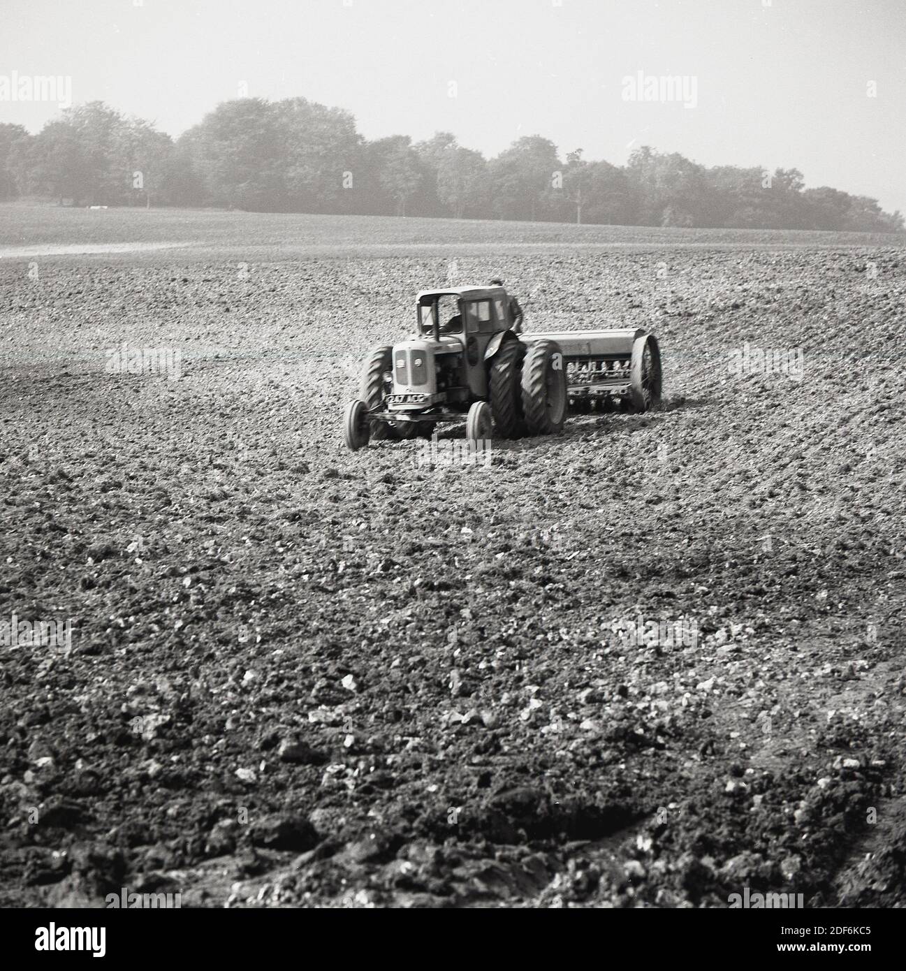 In den 1960er Jahren, historisch, Bauern auf einem Traktor ziehen eine ...