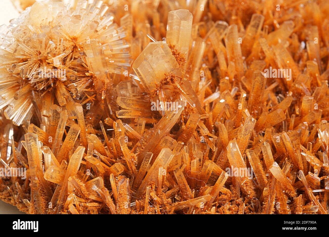 Calcium Sulphate Stockfotos und -bilder Kaufen - Alamy