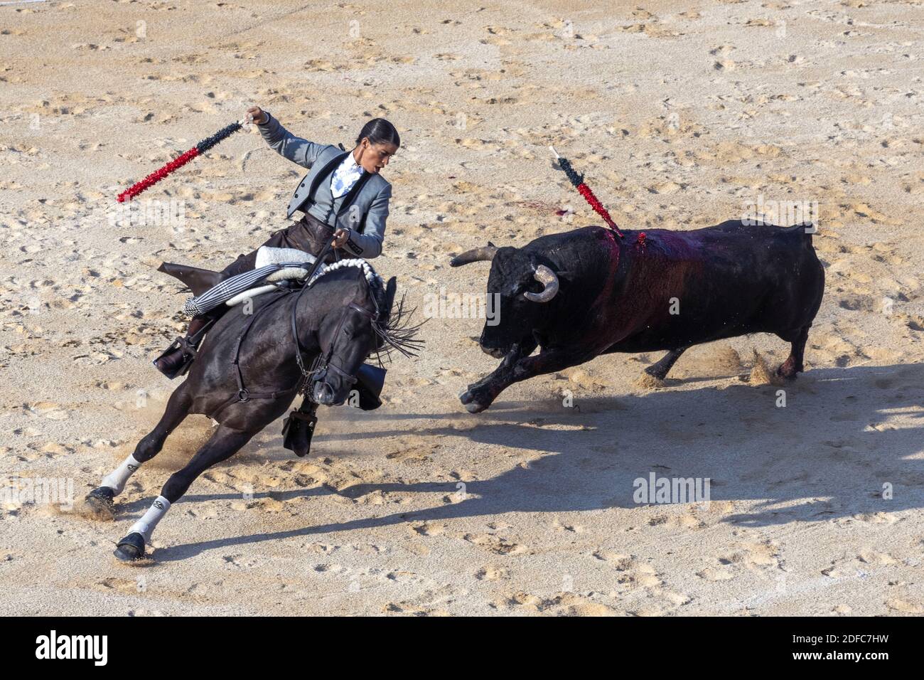 Stierkampf mit pferd -Fotos und -Bildmaterial in hoher Auflösung – Alamy