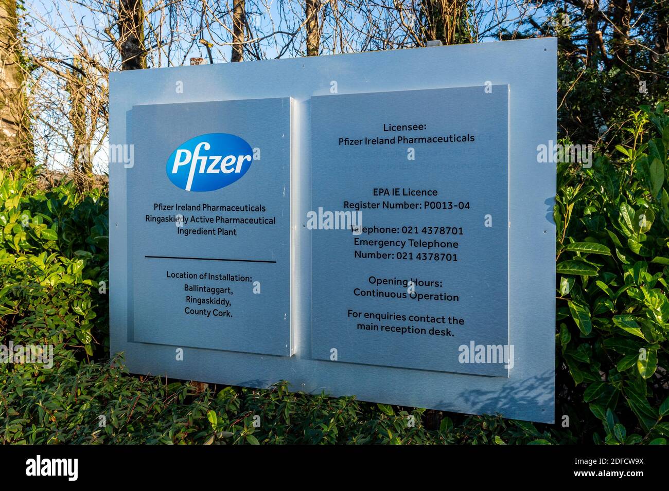 Pfizer irland pharmazeutika -Fotos und -Bildmaterial in hoher Auflösung ...