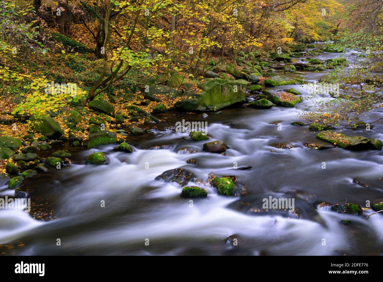 Wildbach fluss -Fotos und -Bildmaterial in hoher Auflösung – Alamy