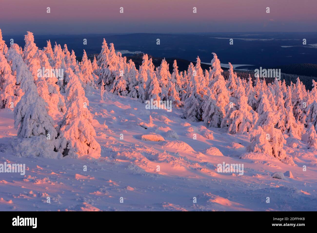 Verschneite Tannen Winter Stockfotos und -bilder Kaufen - Alamy