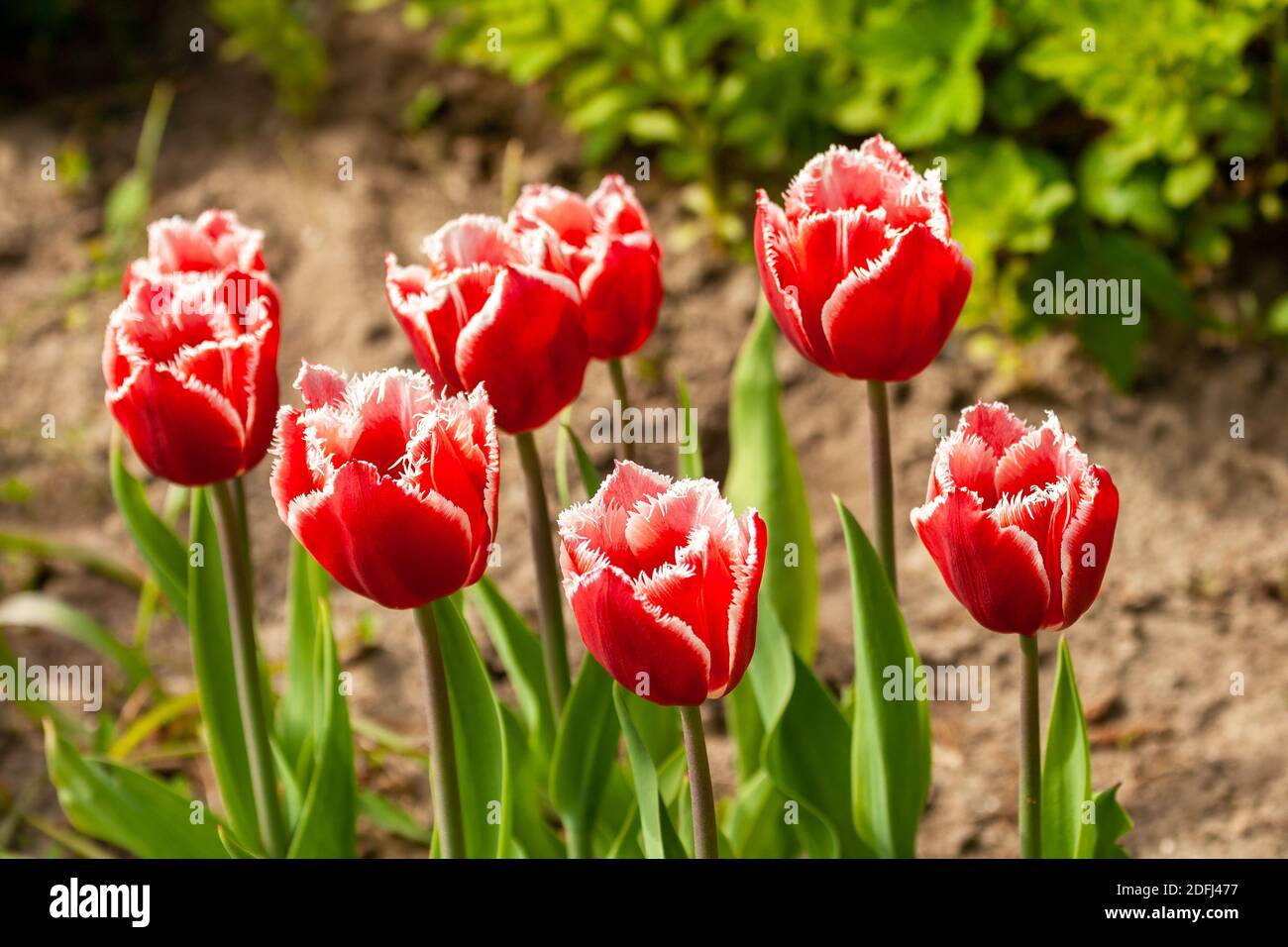 Randgruppe -Fotos und -Bildmaterial in hoher Auflösung – Alamy