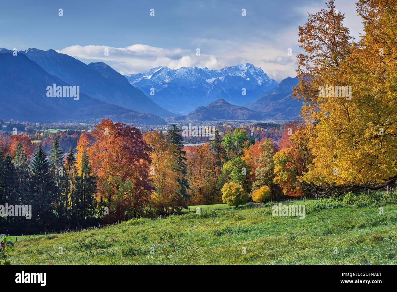 Herbstlandschaft über dem Murnauer Moos mit Zugspitzgruppe bei Hagen ...