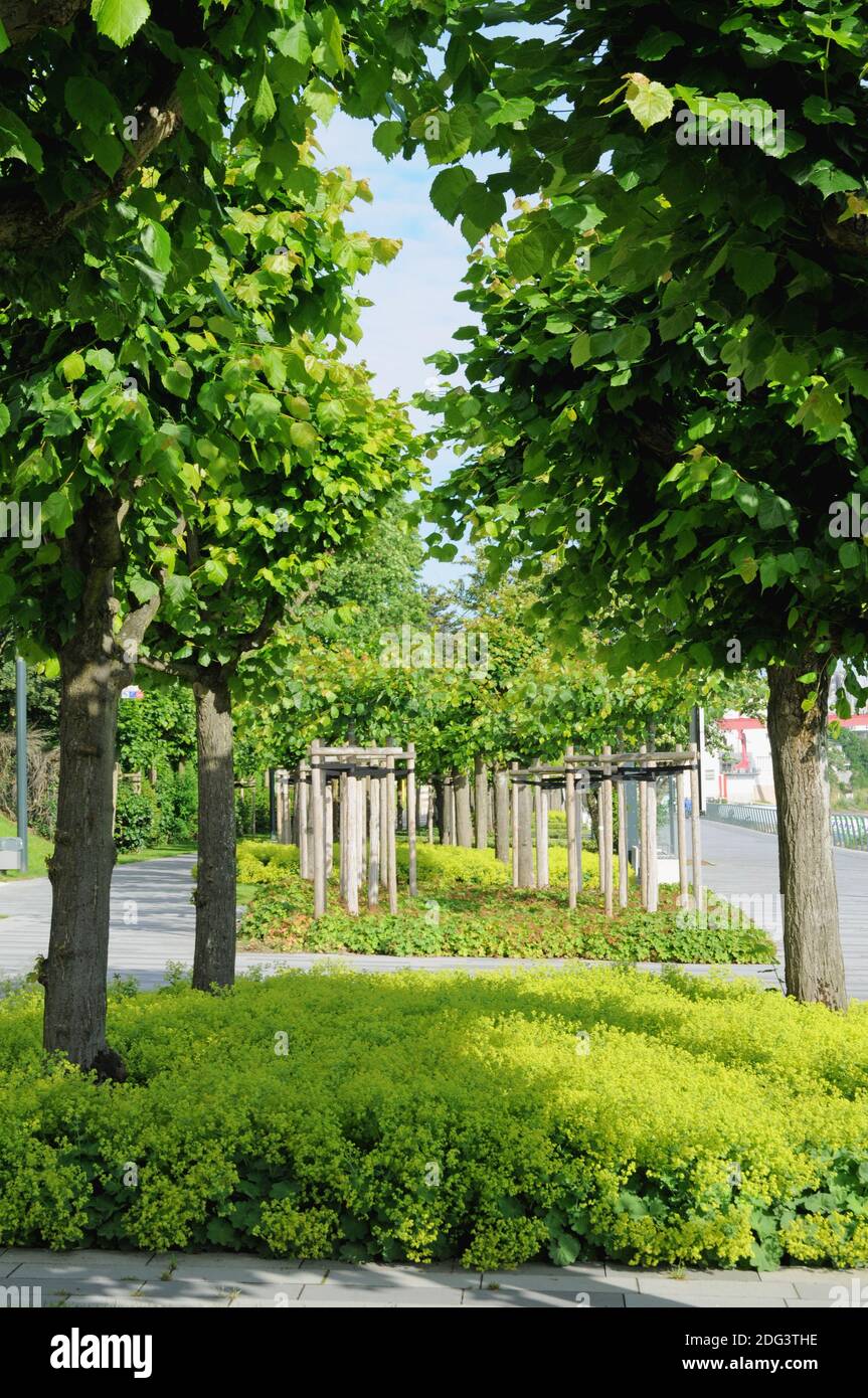 Rhine park -Fotos und -Bildmaterial in hoher Auflösung – Alamy