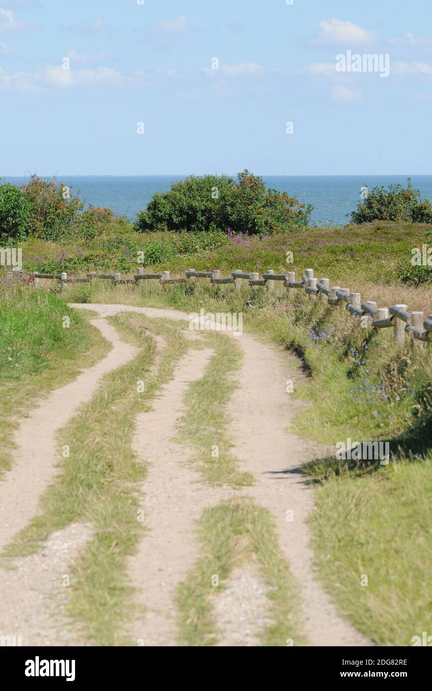 Trample path -Fotos und -Bildmaterial in hoher Auflösung – Alamy