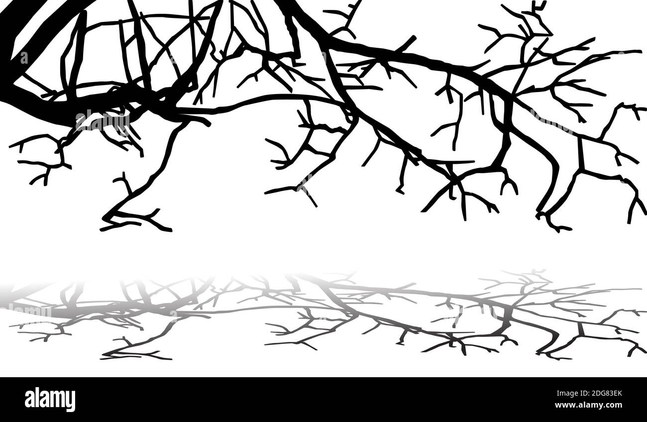 Geschichtete zweige -Fotos und -Bildmaterial in hoher Auflösung – Alamy