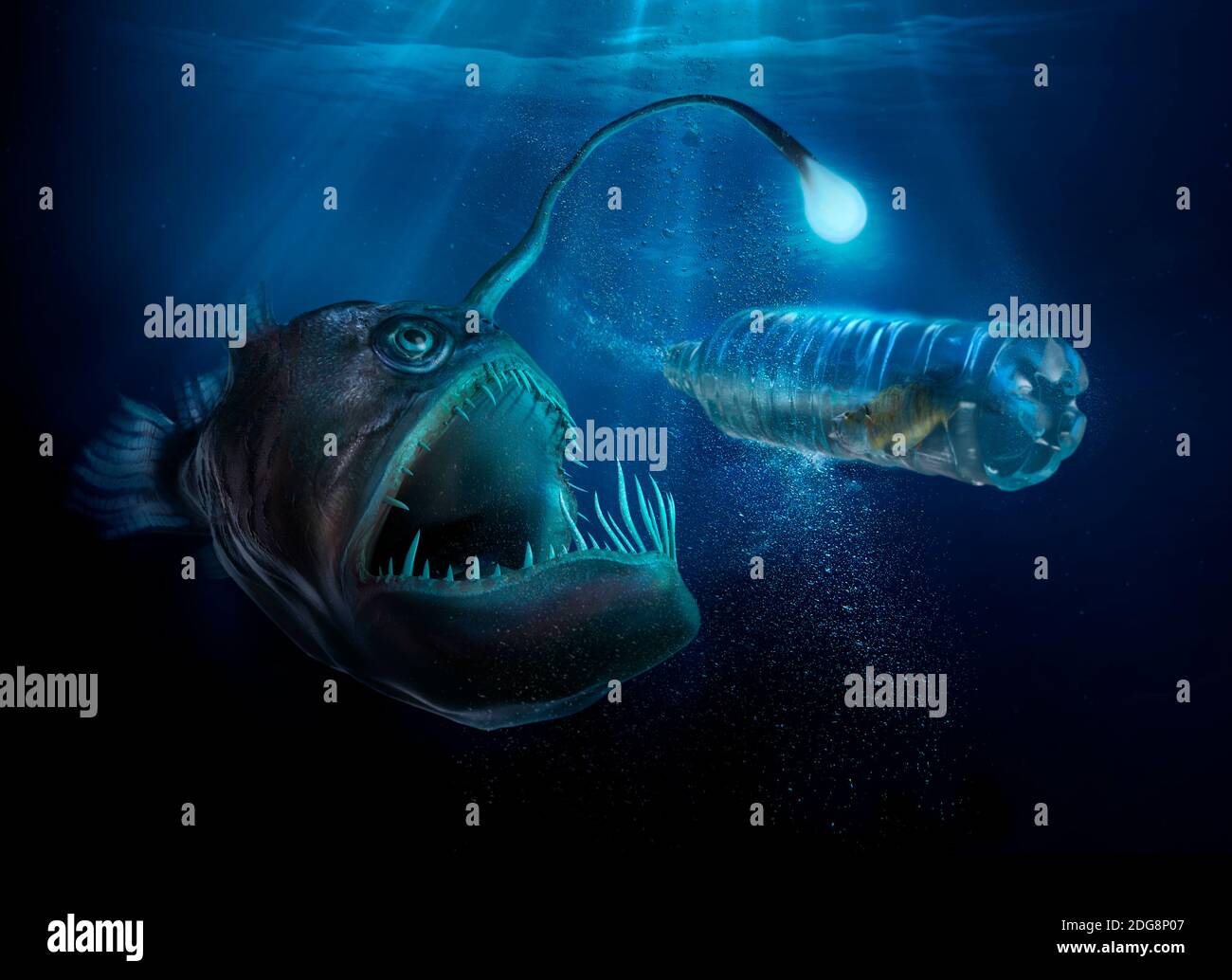 Anglerfish Deep Stockfotos und -bilder Kaufen - Alamy