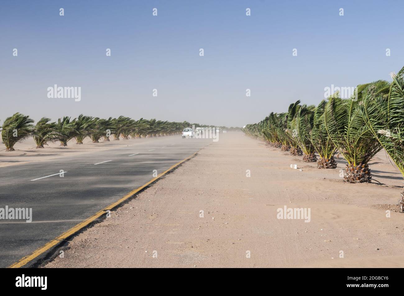 Trans namib -Fotos und -Bildmaterial in hoher Auflösung – Alamy