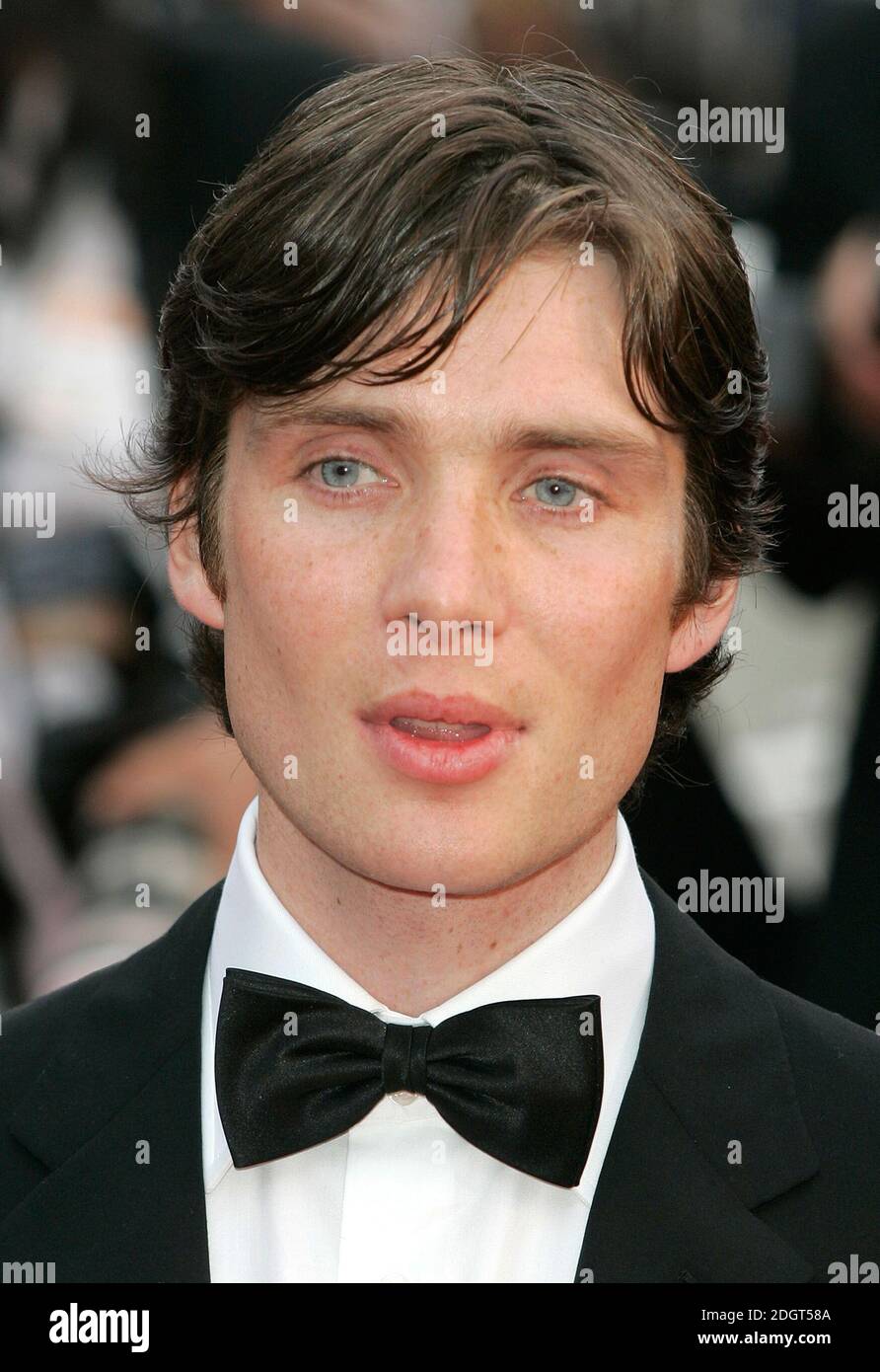 Filmpremiere cillian murphy -Fotos und -Bildmaterial in hoher Auflösung ...