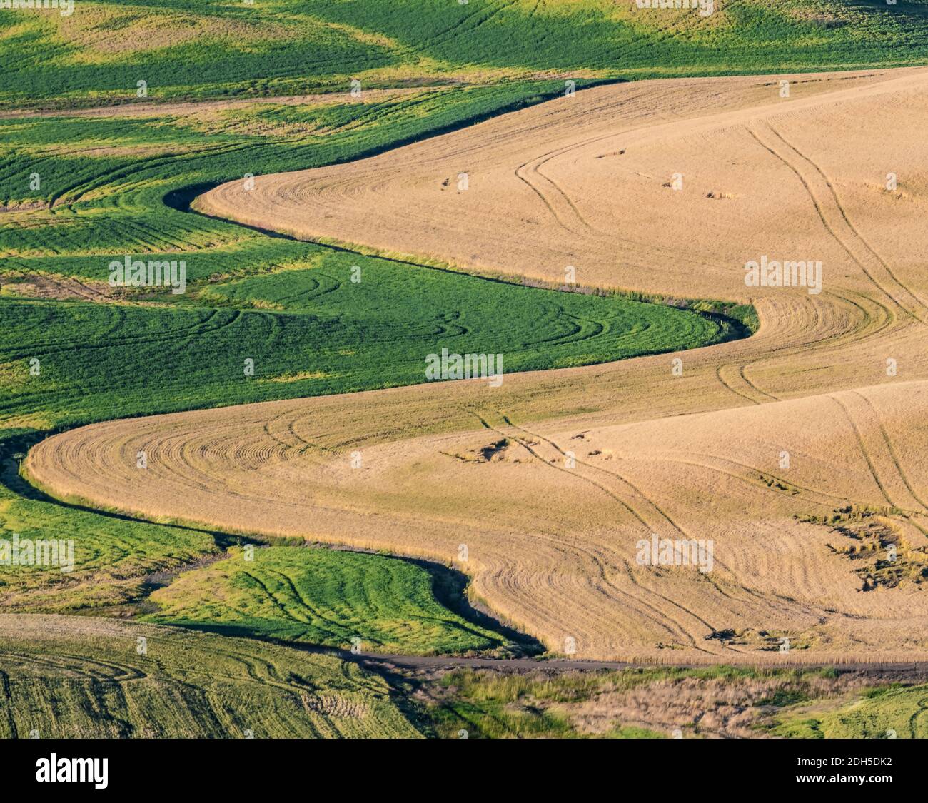 Palouse weizenfelder -Fotos und -Bildmaterial in hoher Auflösung – Alamy