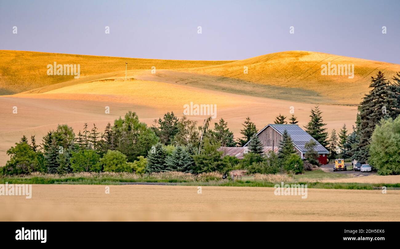 Palouse weizenfelder -Fotos und -Bildmaterial in hoher Auflösung – Alamy