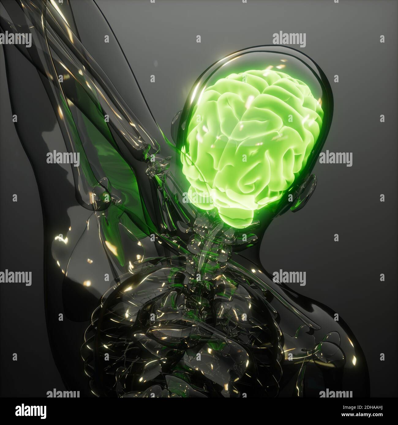 Ct scan gehirn gesund -Fotos und -Bildmaterial in hoher Auflösung – Alamy