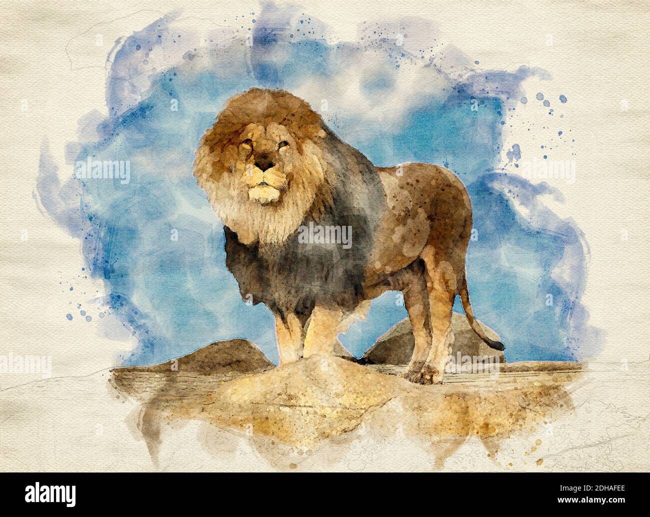 Aquarell-Bild eines männlichen Löwen, der stolz auf einem Felsen steht ...
