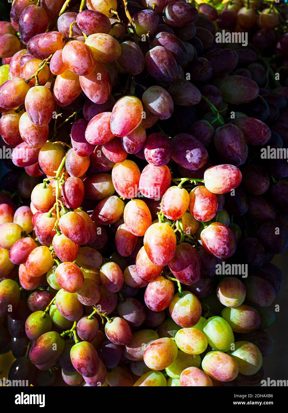 Rote Weintrauben Stockfotos und -bilder Kaufen - Alamy