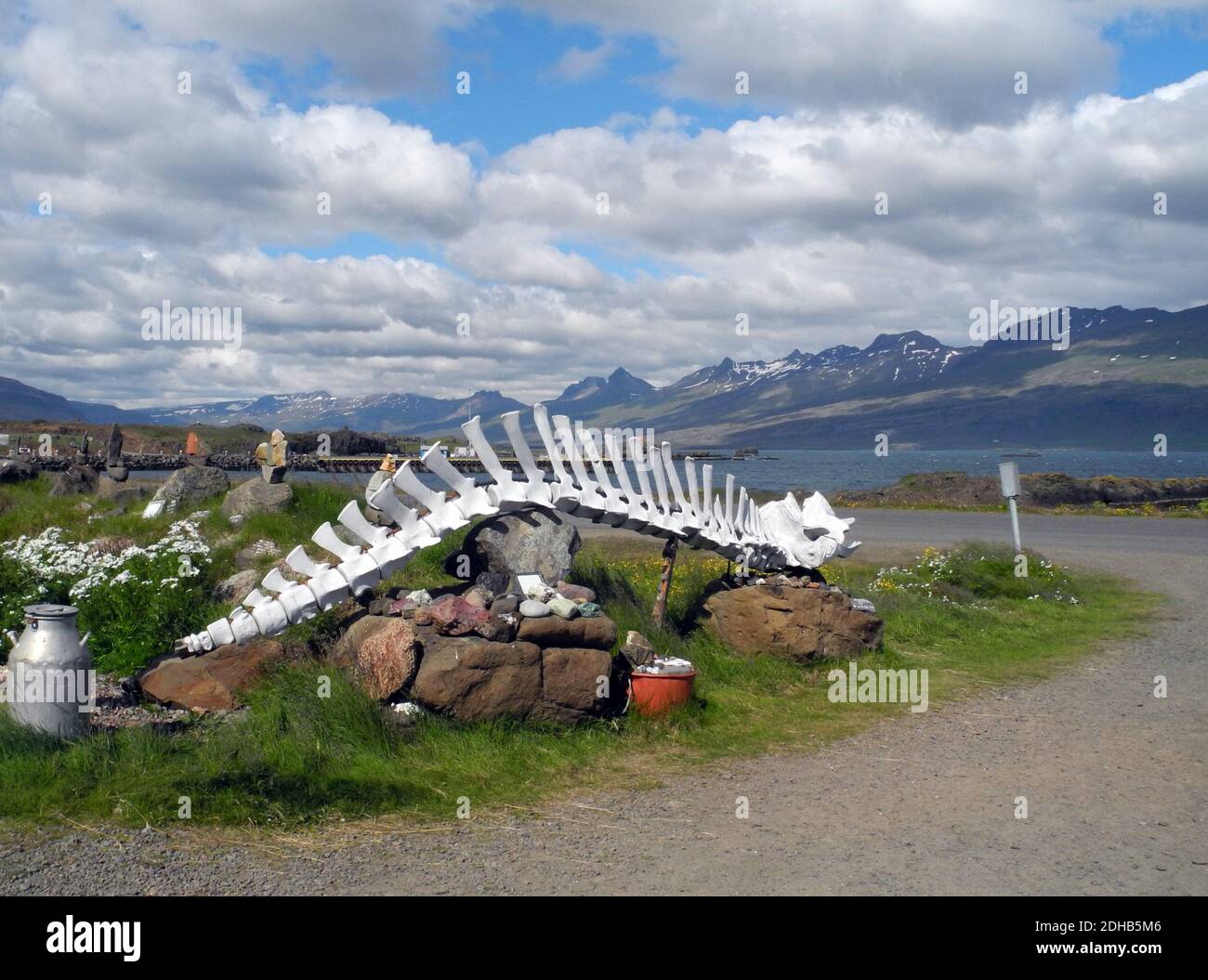 Laufente skelett -Fotos und -Bildmaterial in hoher Auflösung – Alamy