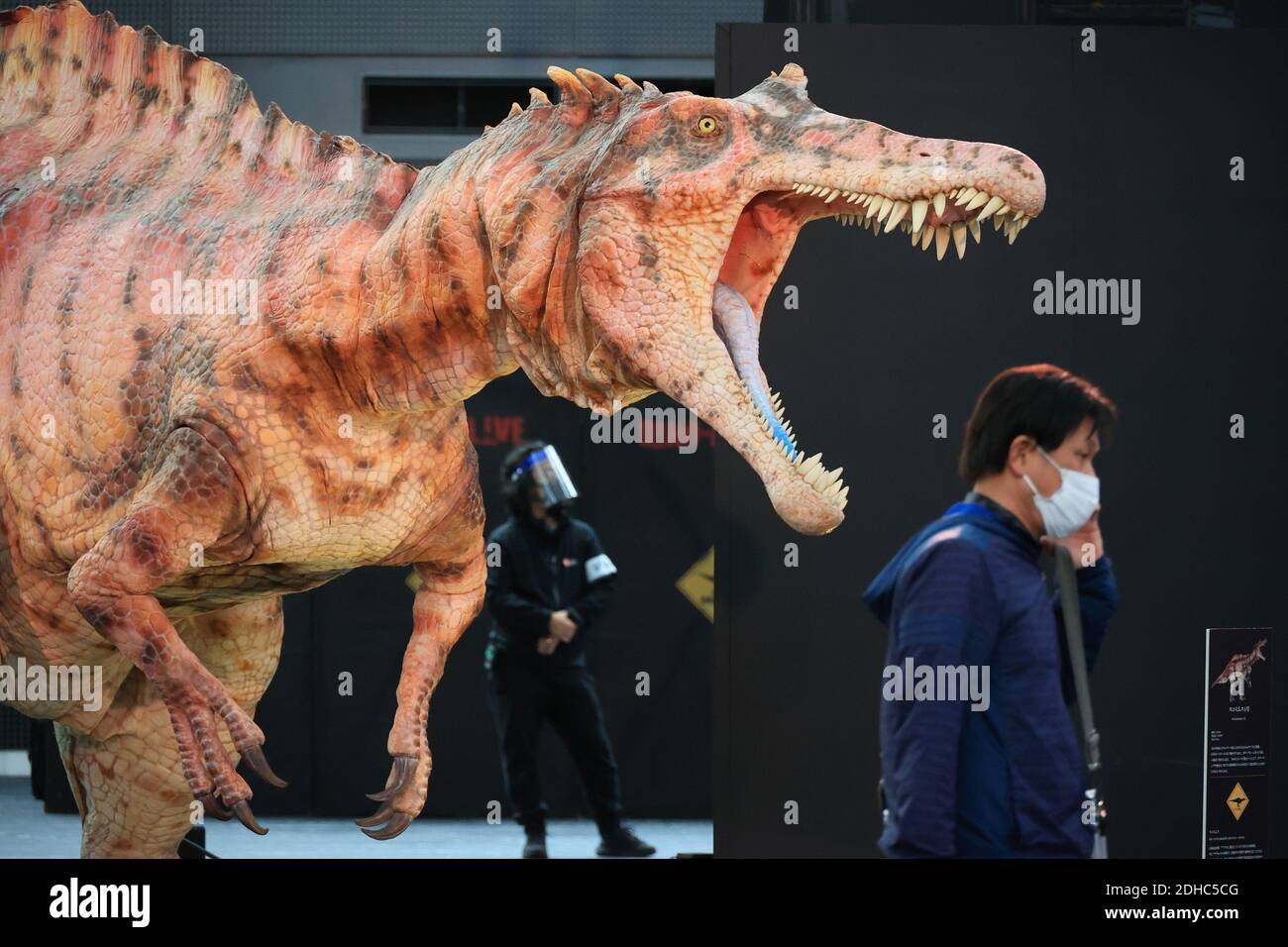 Lebende dinosaurier -Fotos und -Bildmaterial in hoher Auflösung – Alamy