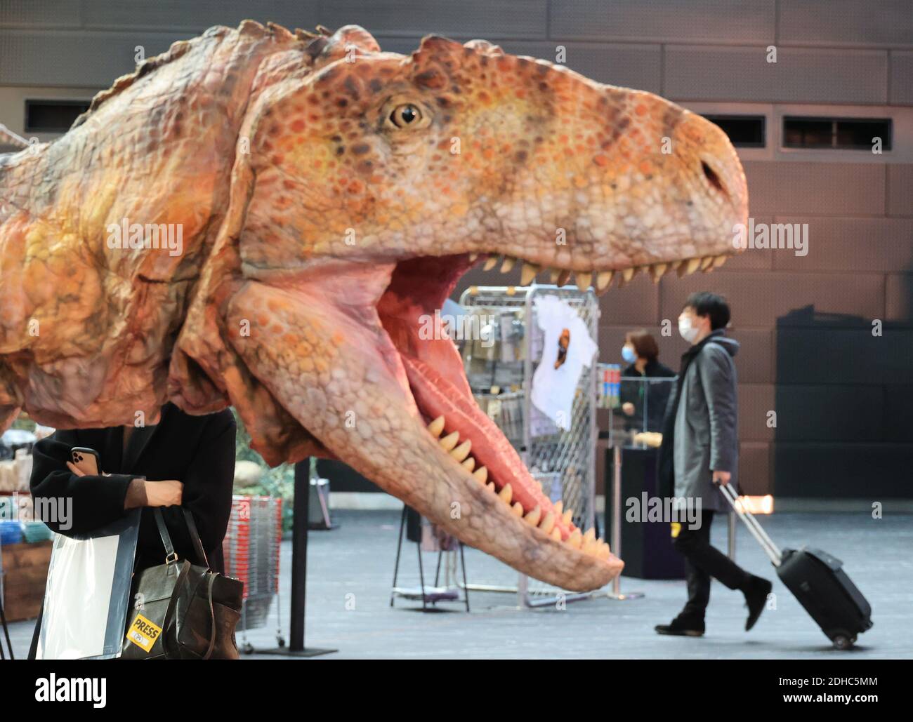 Lebende dinosaurier -Fotos und -Bildmaterial in hoher Auflösung – Alamy