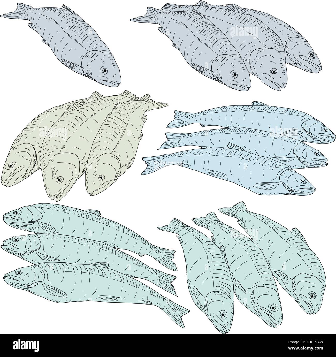 Sammlung von natürlichen Meeresfischen Skizze auf weißem Hintergrund ...