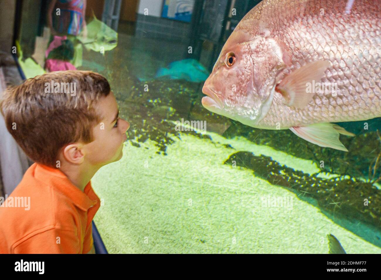 Kind fisch aquarium -Fotos und -Bildmaterial in hoher Auflösung – Alamy