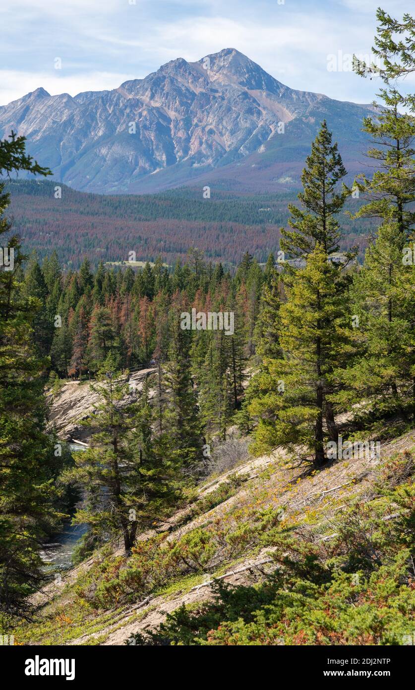 Maligne valley mountain range berge nationalpark -Fotos und ...
