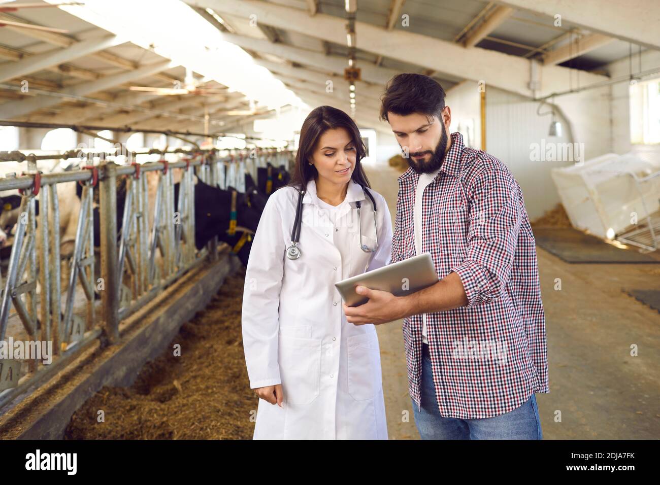 Tierarzt landwirt -Fotos und -Bildmaterial in hoher Auflösung – Alamy