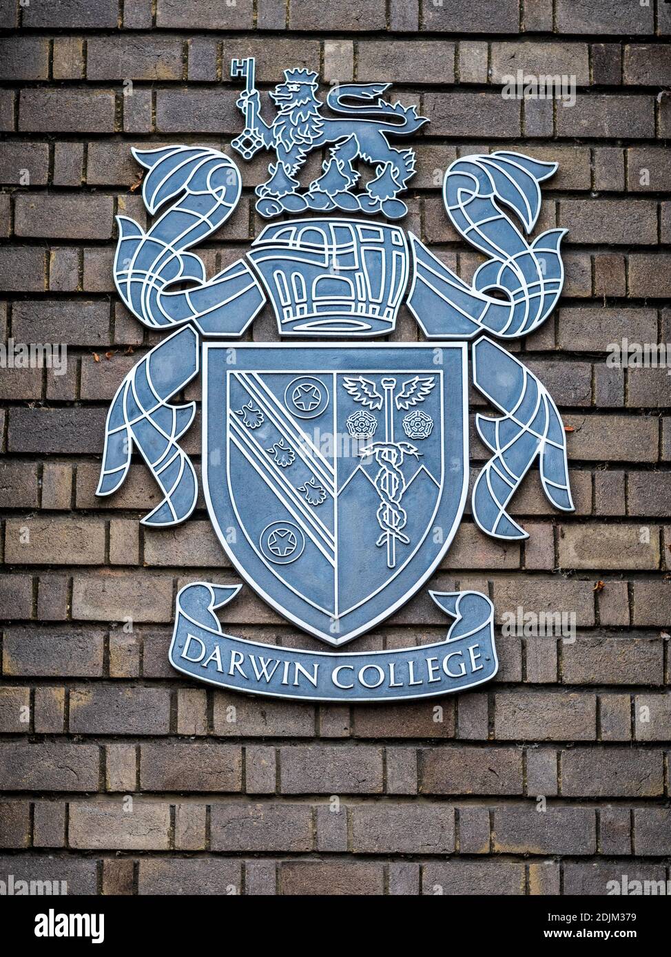 Darwin college cambridge university -Fotos und -Bildmaterial in hoher ...