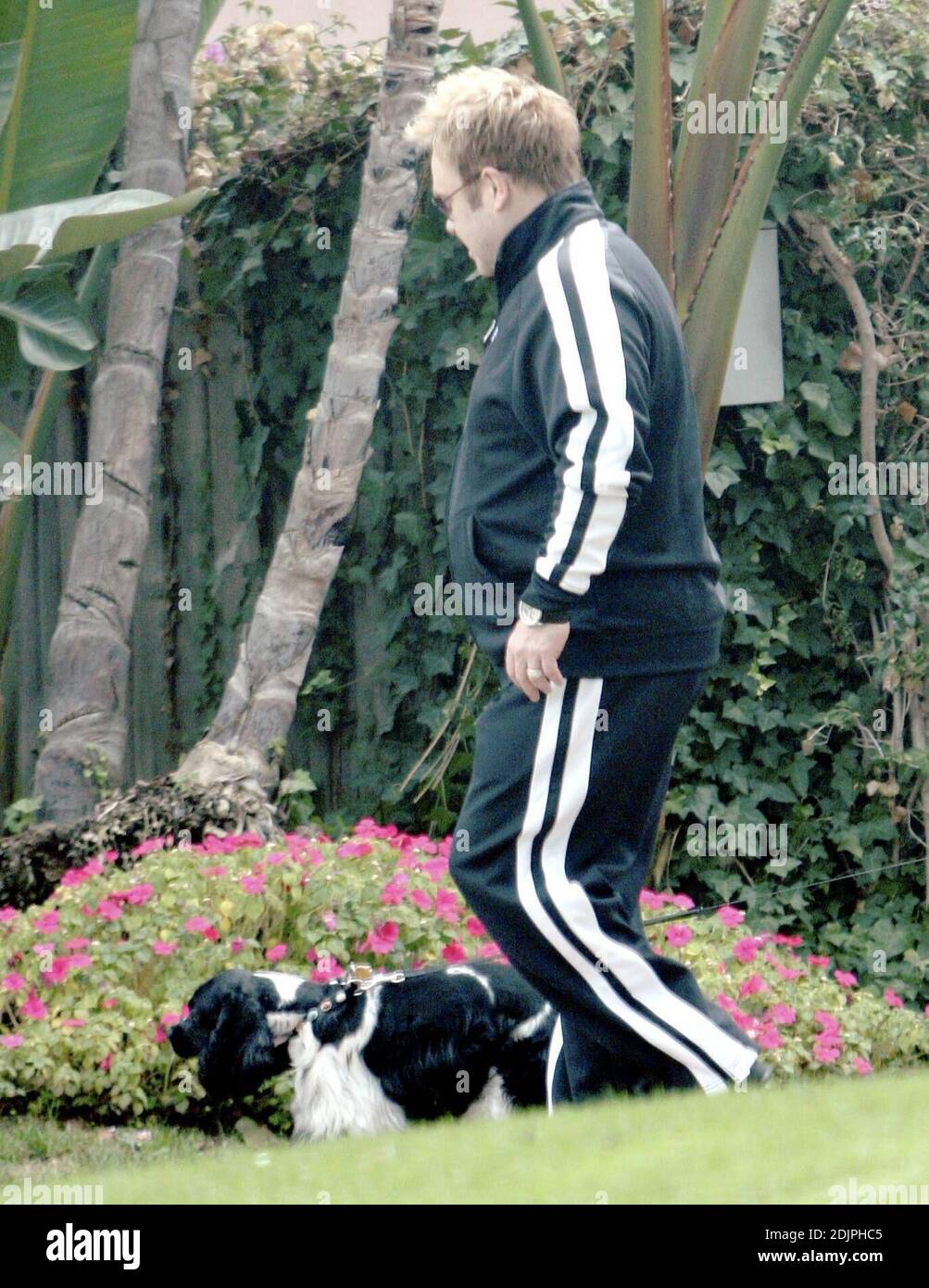 Elton John Hund Stockfotos und -bilder Kaufen - Alamy