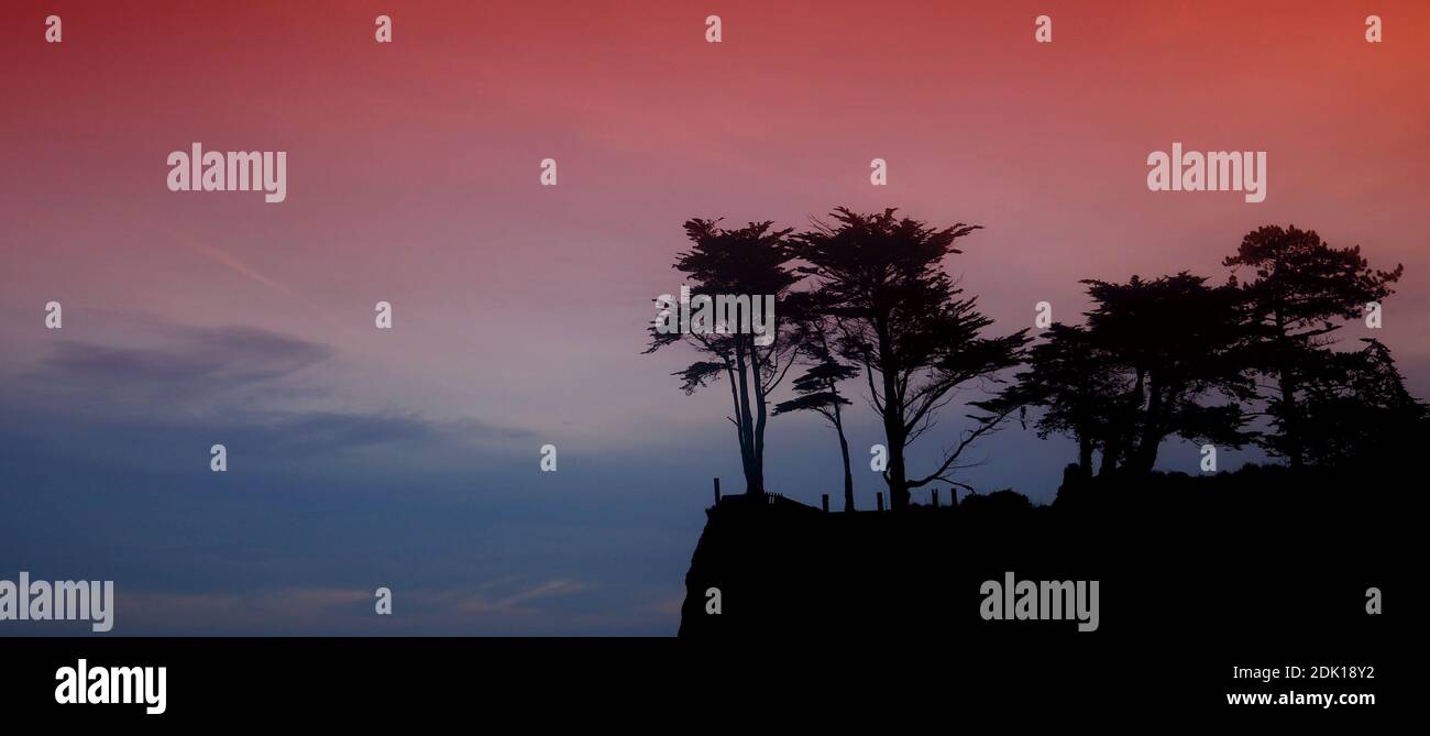 Palmen irland -Fotos und -Bildmaterial in hoher Auflösung – Alamy