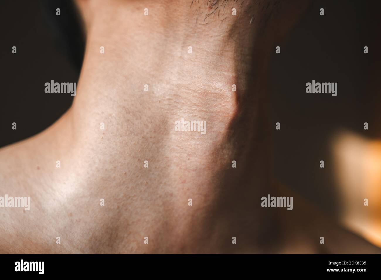 Anatomie des menschlichen nackens -Fotos und -Bildmaterial in hoher ...