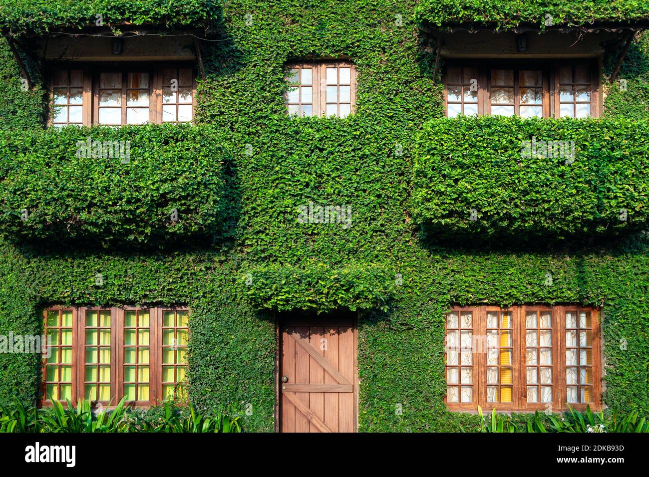 Mit efeu bewachsenes haus -Fotos und -Bildmaterial in hoher Auflösung ...