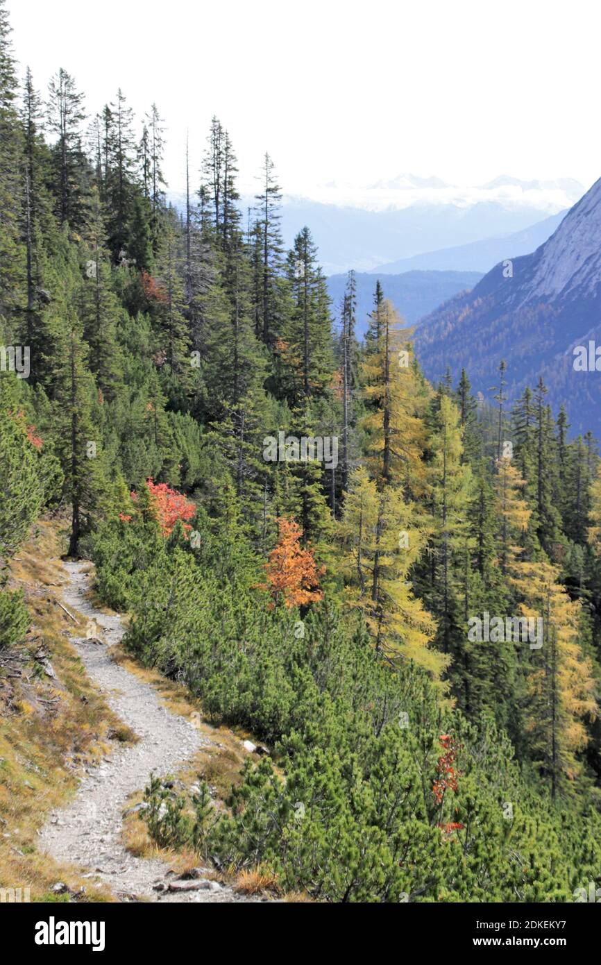 Europa, Österreich, Tirol, Leutasch, Leutasch Tal, Gaistal, Ludwig ...