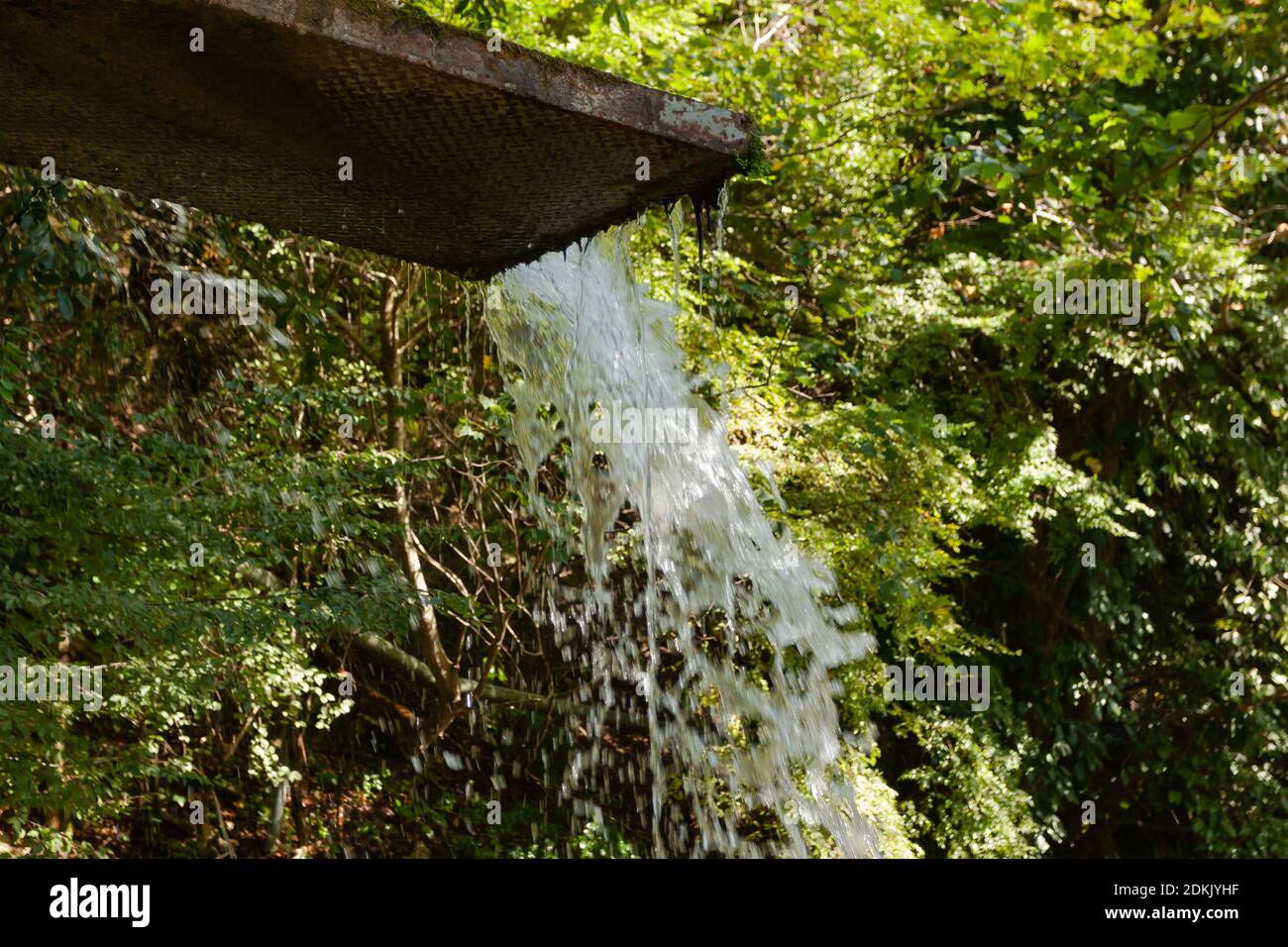 Wasser gießt -Fotos und -Bildmaterial in hoher Auflösung – Alamy