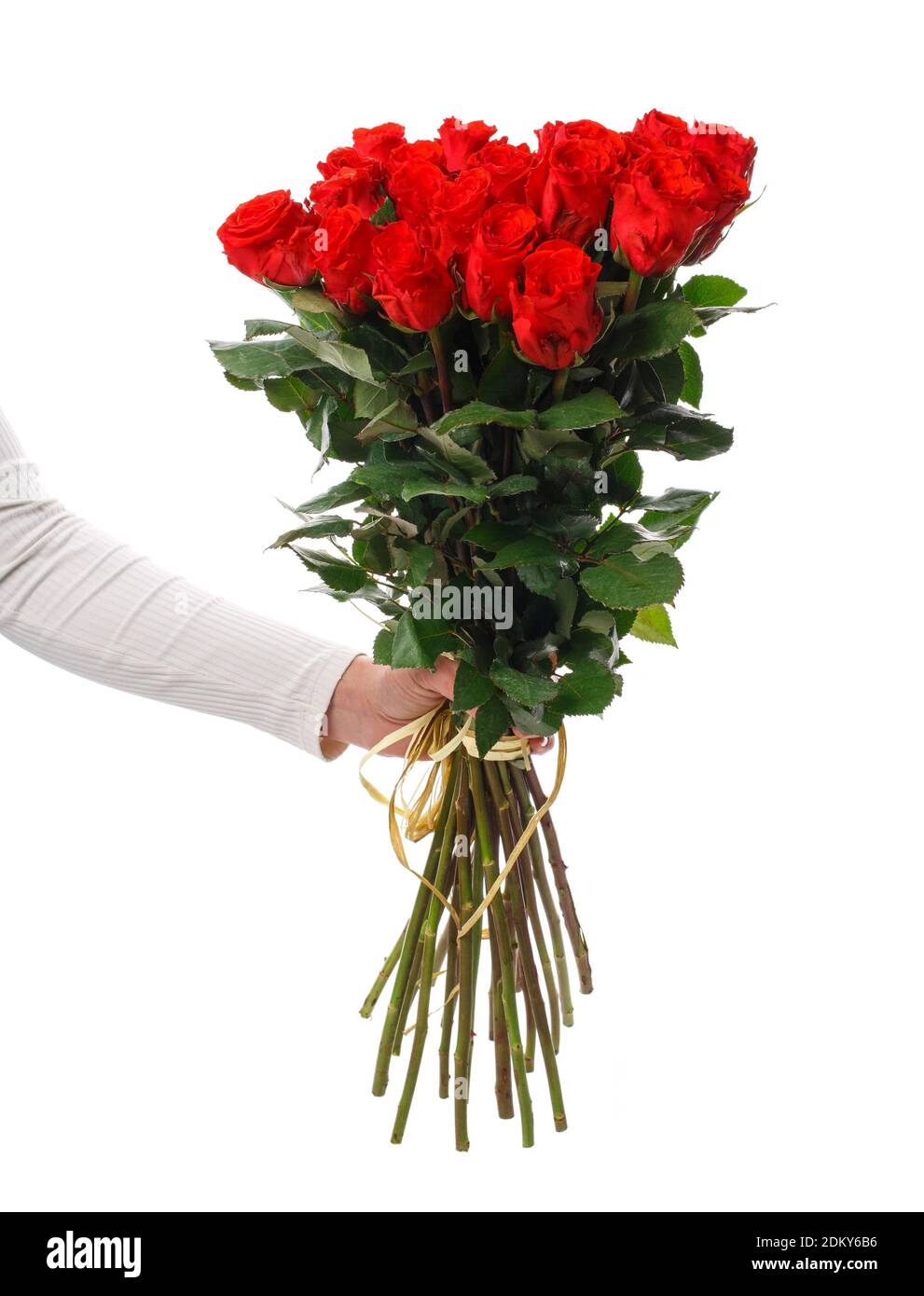 Lange stiel rote rosen -Fotos und -Bildmaterial in hoher Auflösung – Alamy