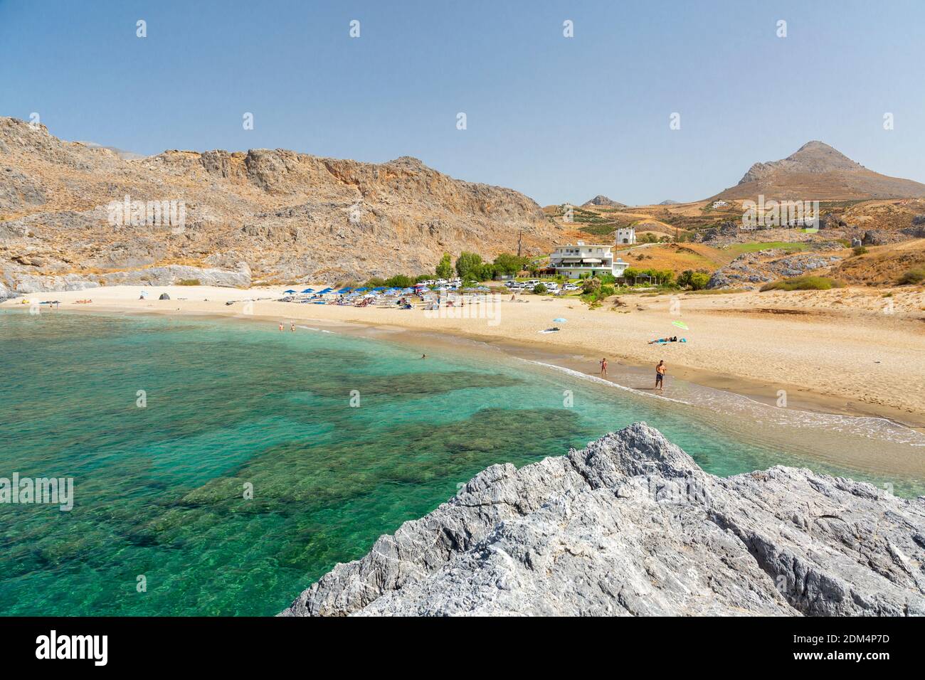 Paralia skinaria -Fotos und -Bildmaterial in hoher Auflösung – Alamy