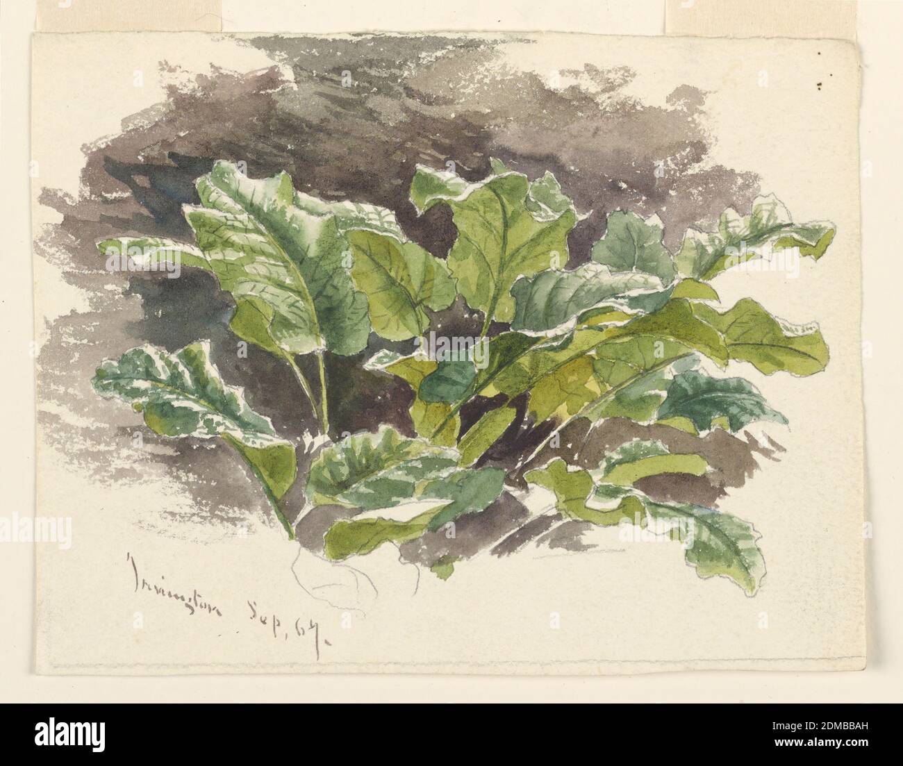 Aquarell und graphit auf pappe -Fotos und -Bildmaterial in hoher ...