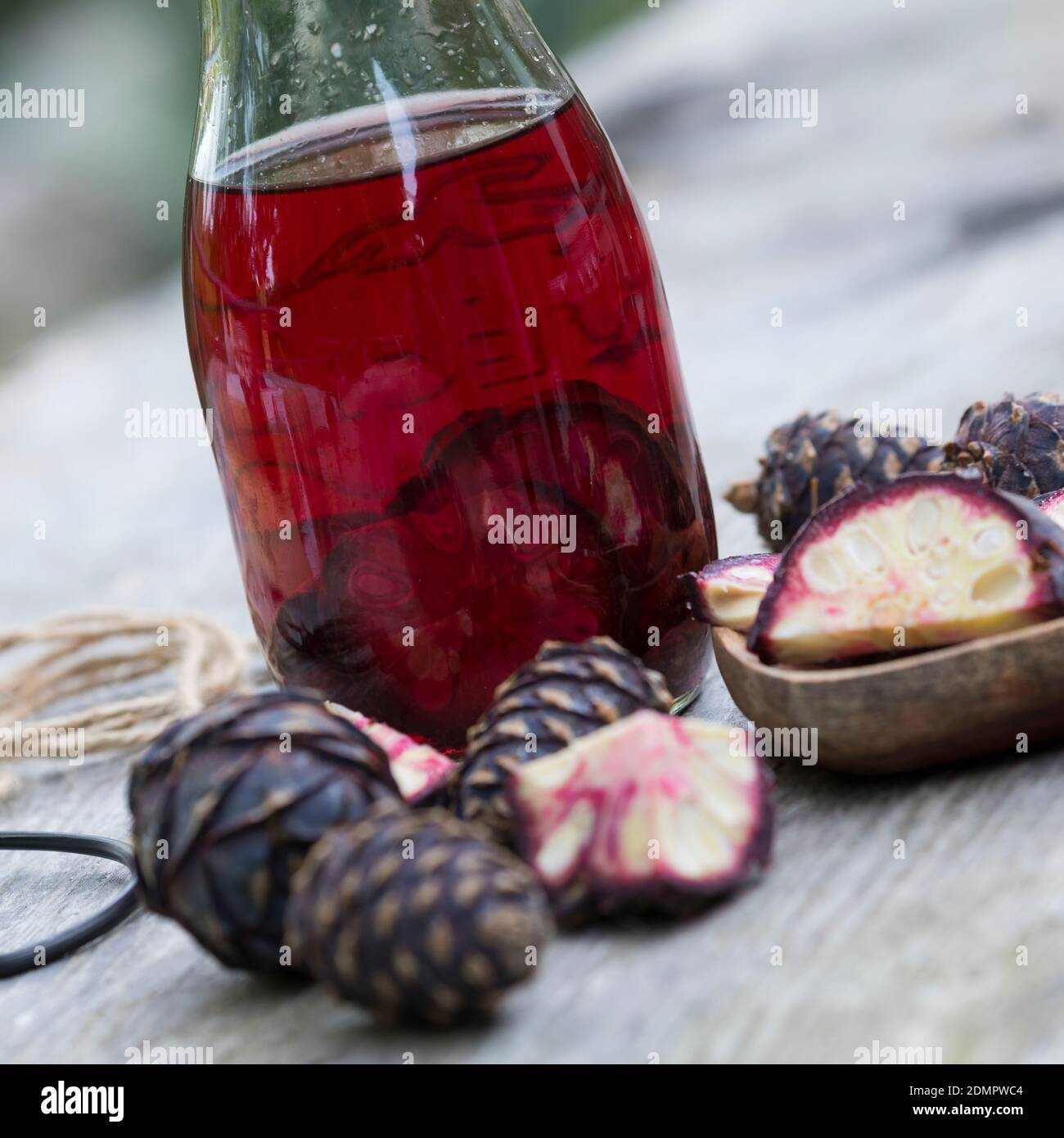 Zirben likor -Fotos und -Bildmaterial in hoher Auflösung – Alamy