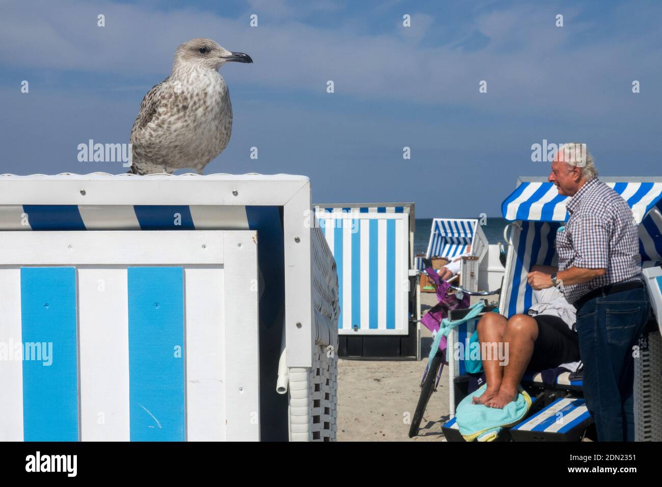Essen germany -Fotos und -Bildmaterial in hoher Auflösung – Alamy