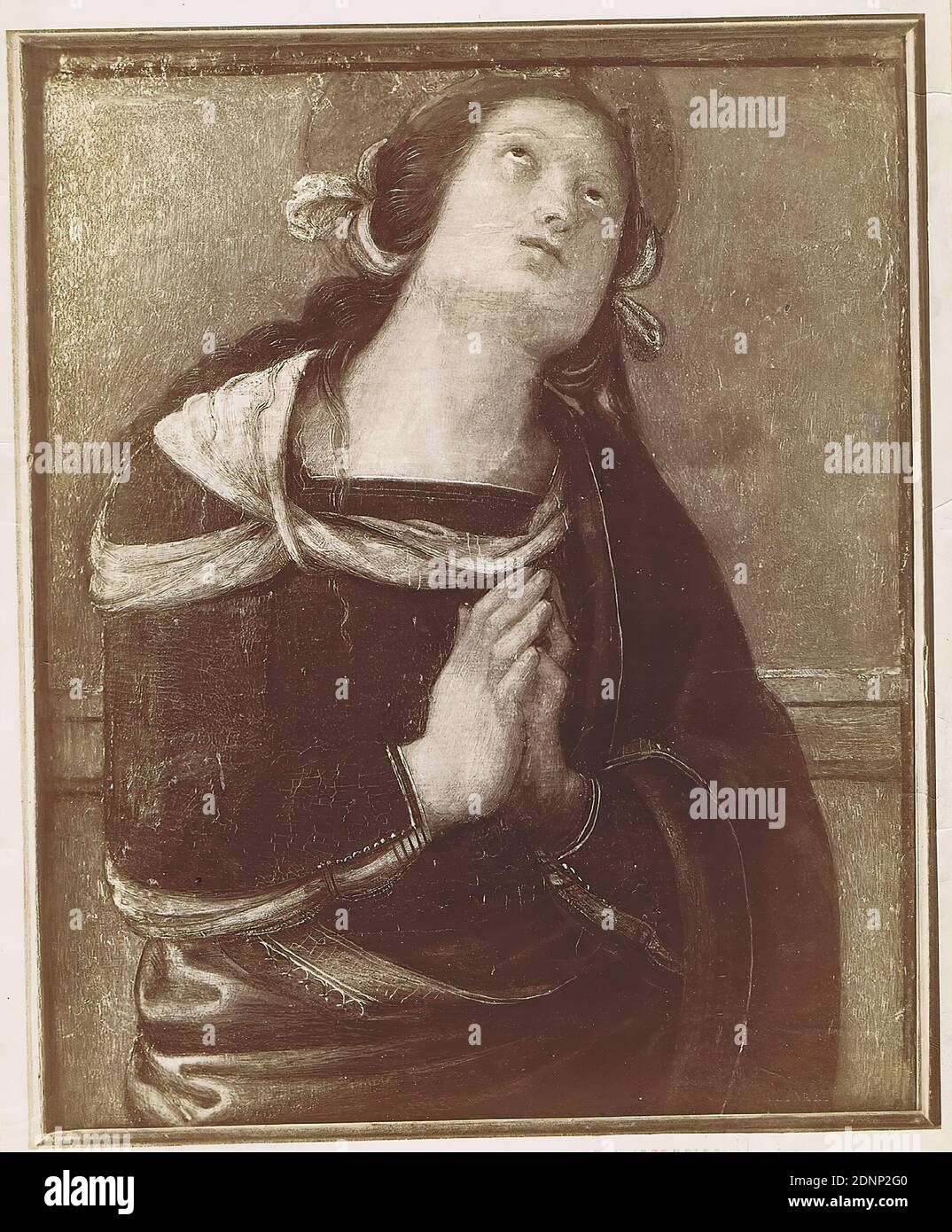 Galeria vaticana -Fotos und -Bildmaterial in hoher Auflösung – Alamy