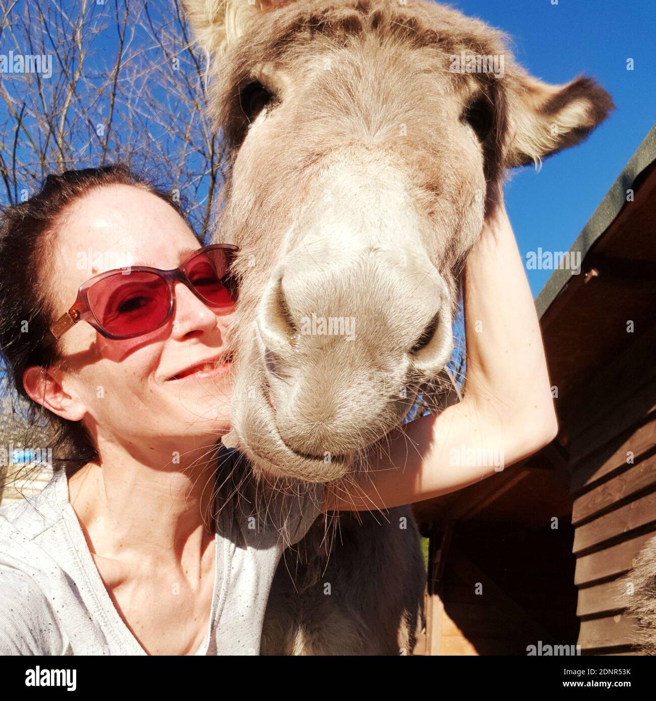 Esel mode -Fotos und -Bildmaterial in hoher Auflösung – Alamy