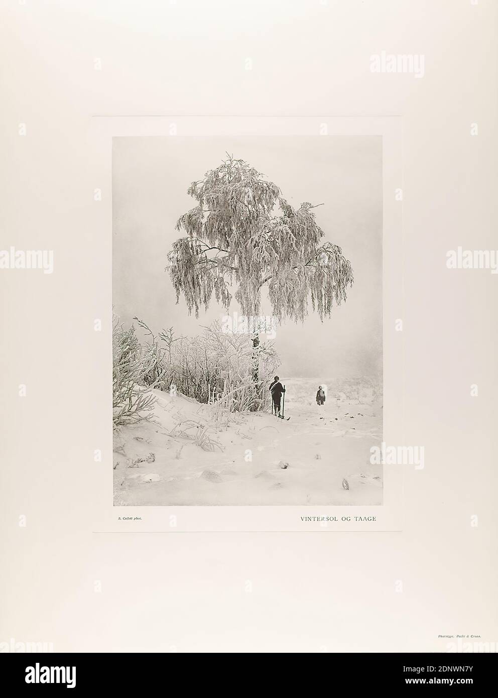 Vintersol og taage -Fotos und -Bildmaterial in hoher Auflösung – Alamy