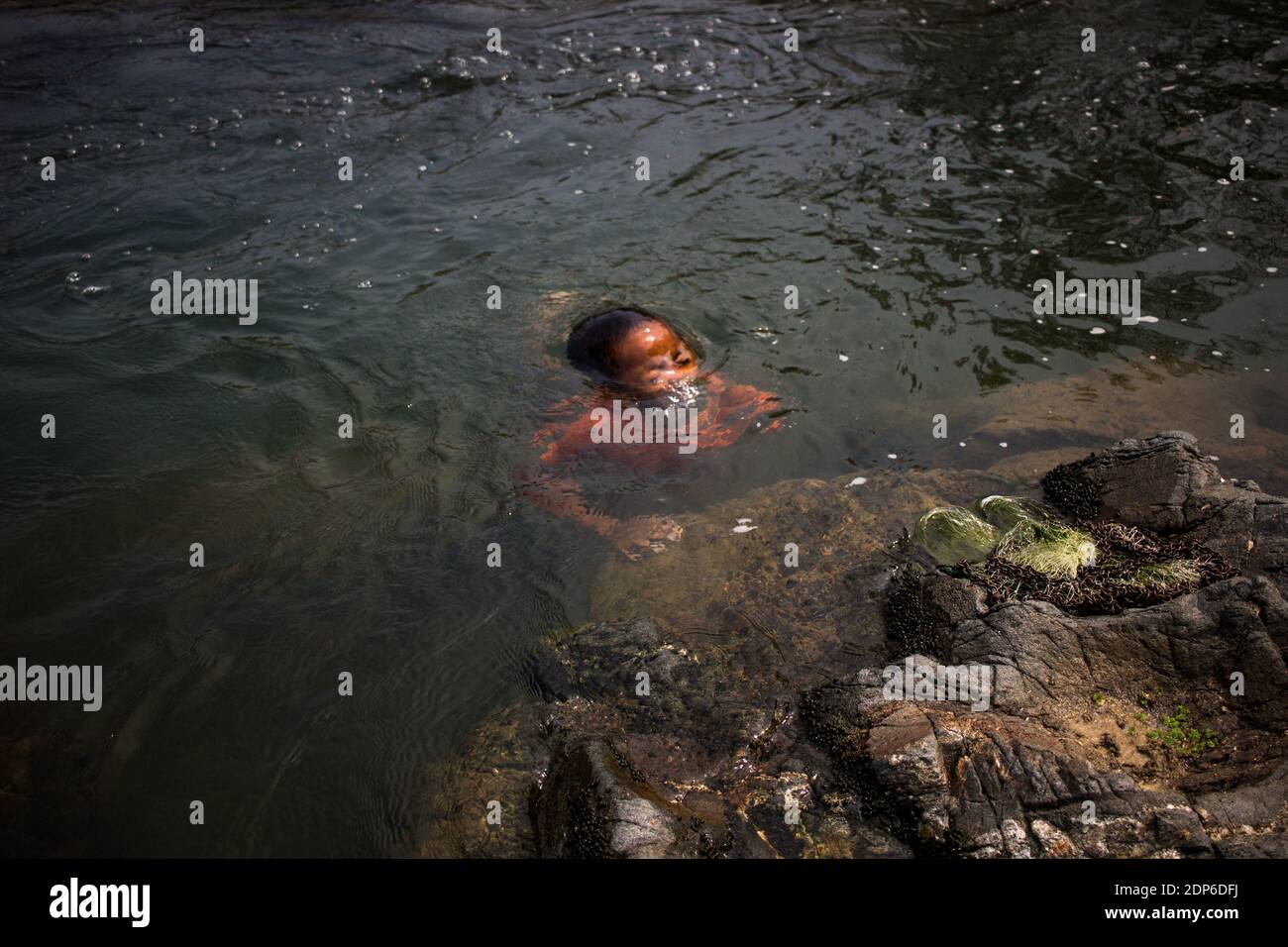 LAO - UMWELT - 4000 INSEL Porträt des 4000 Inseln Territoriums (Si Phan ...