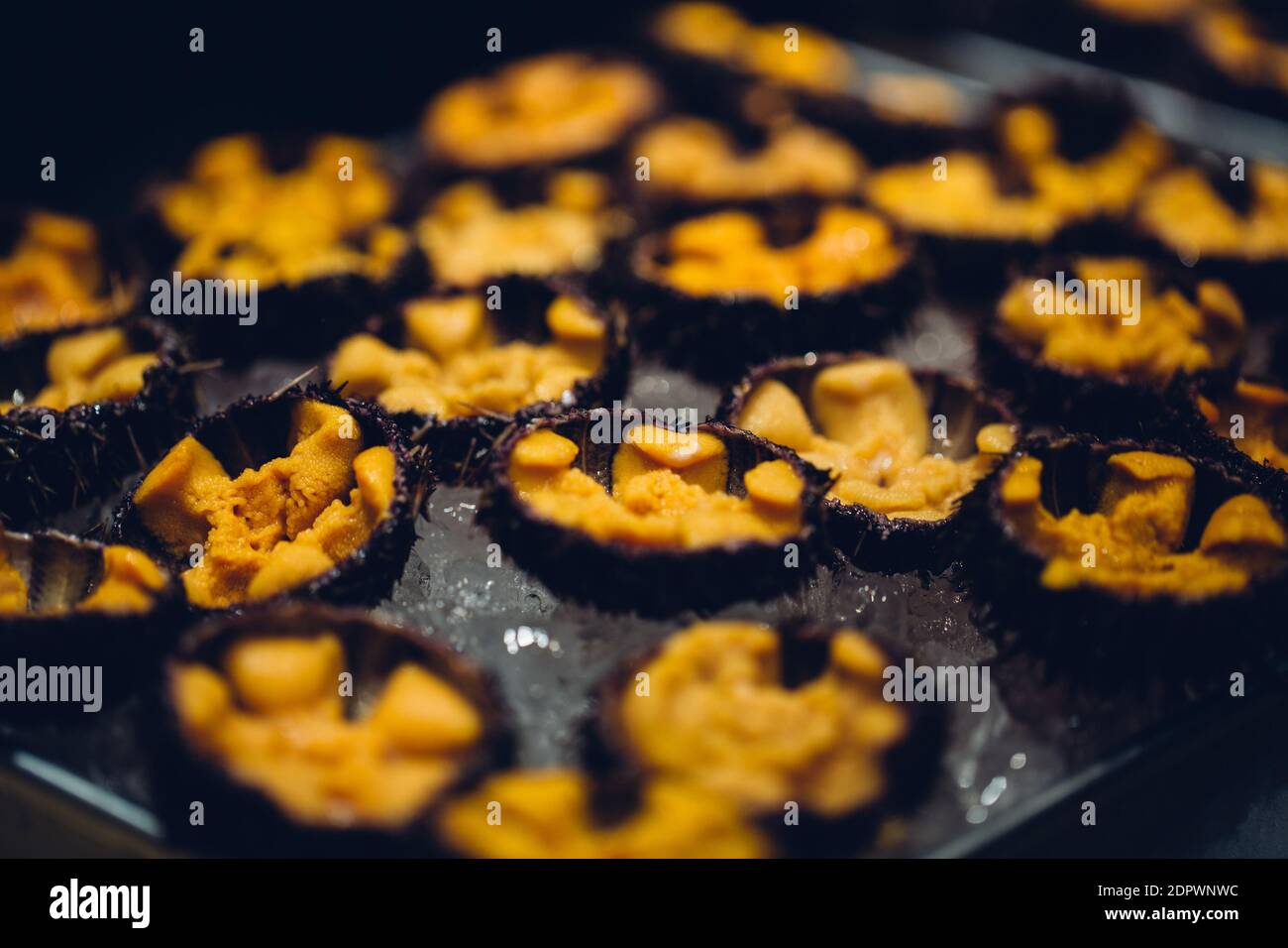 Seeigel essen -Fotos und -Bildmaterial in hoher Auflösung – Alamy