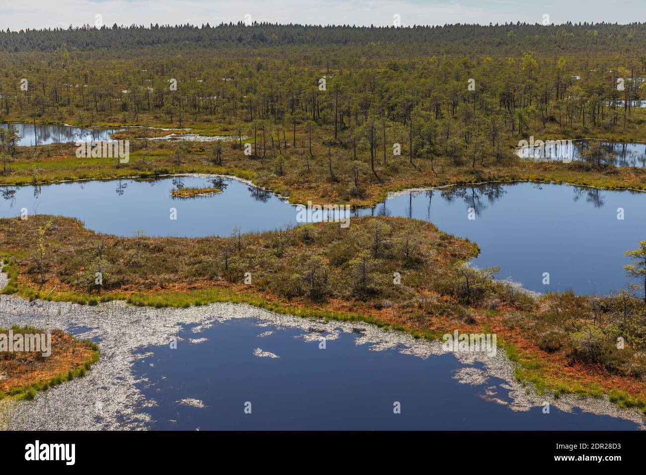 Baltisches Moor Stockfotos und -bilder Kaufen - Alamy