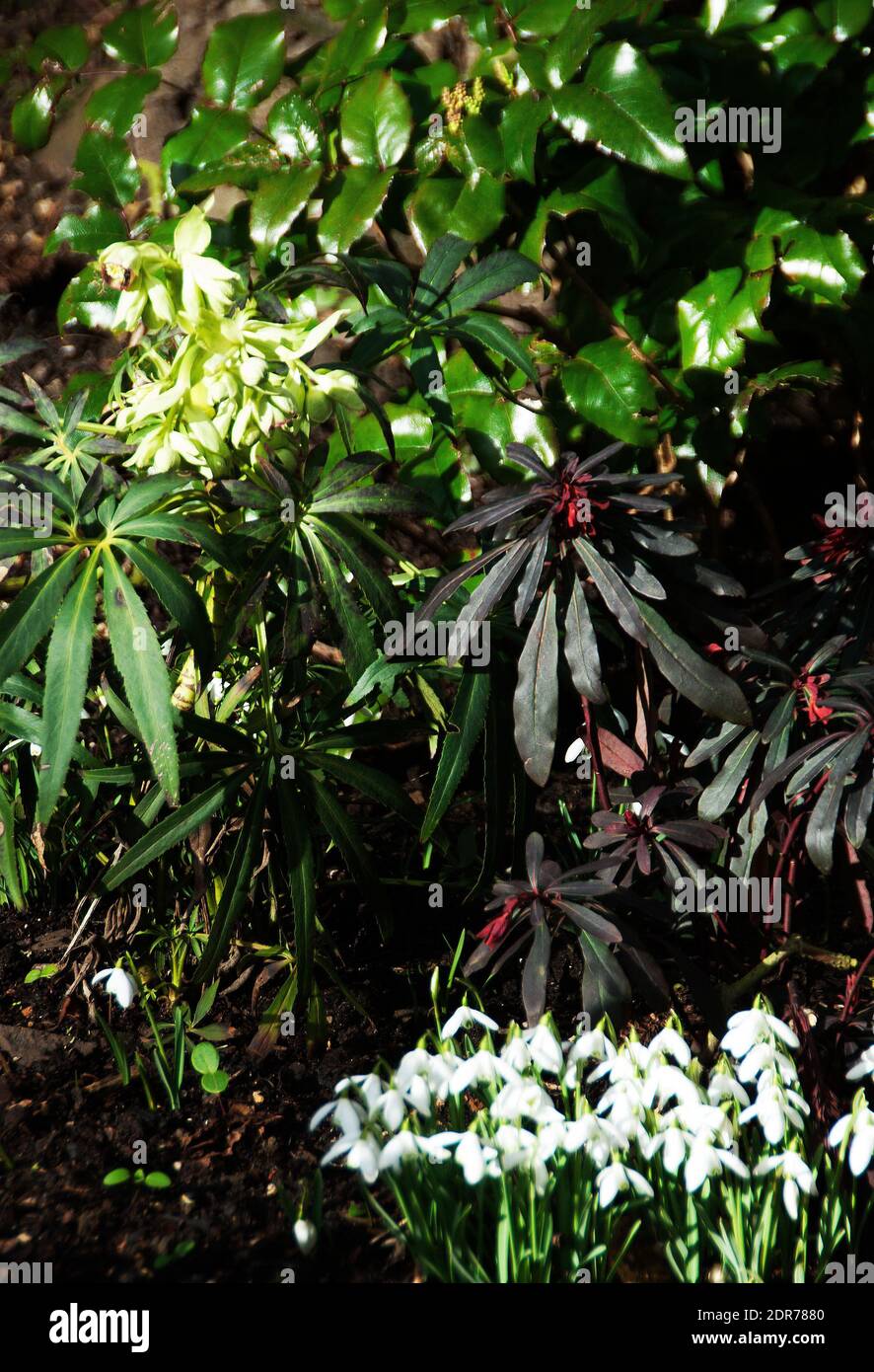 Kleiner ponton Stockfotos und -bilder Kaufen - Alamy