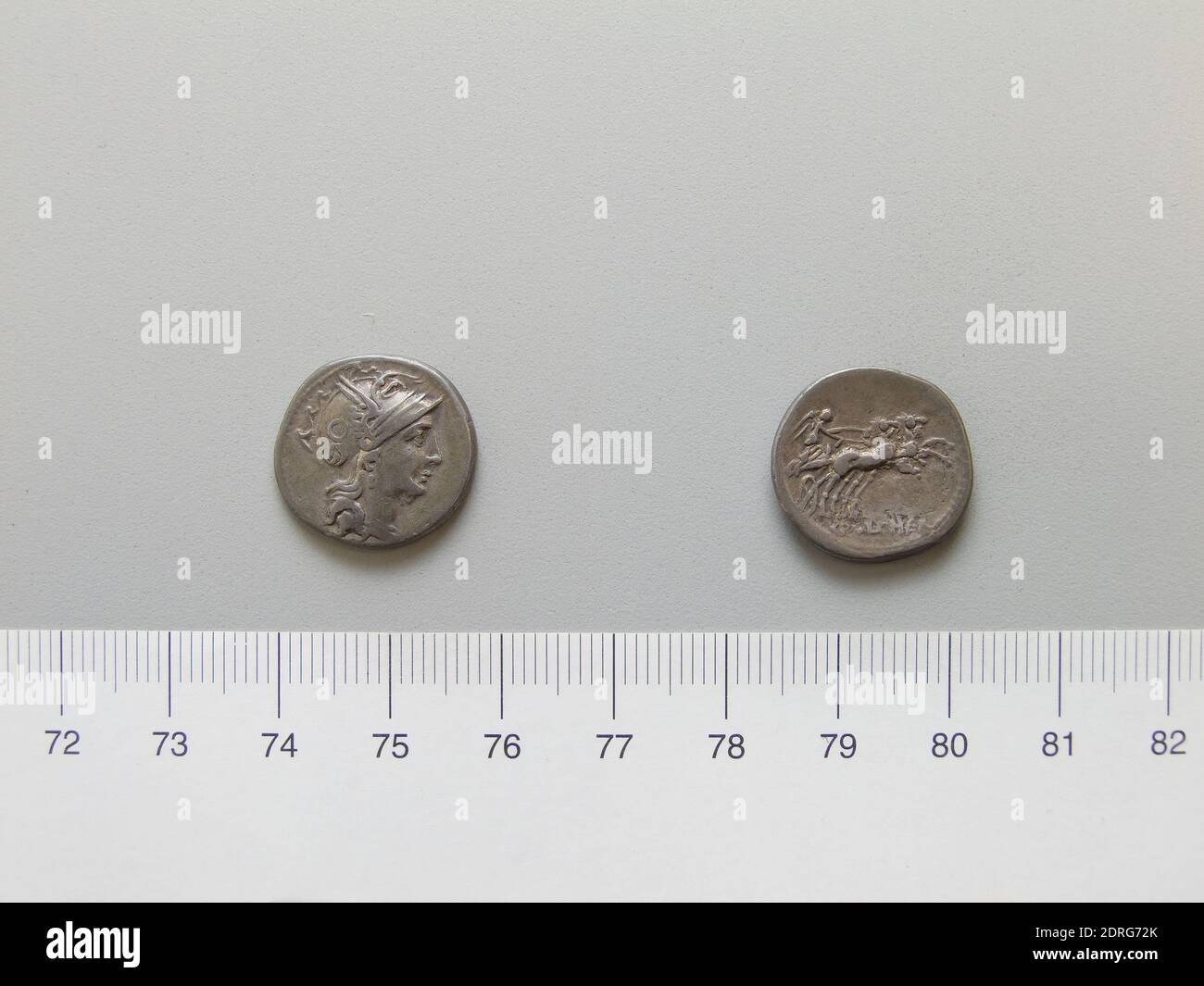 Claudius pulcher -Fotos und -Bildmaterial in hoher Auflösung – Alamy