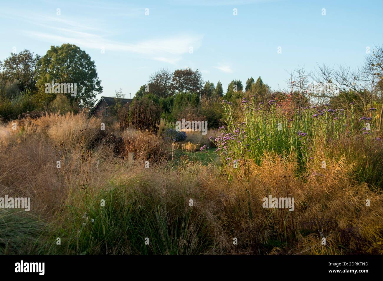 Piet oudolf garden design designer -Fotos und -Bildmaterial in hoher ...