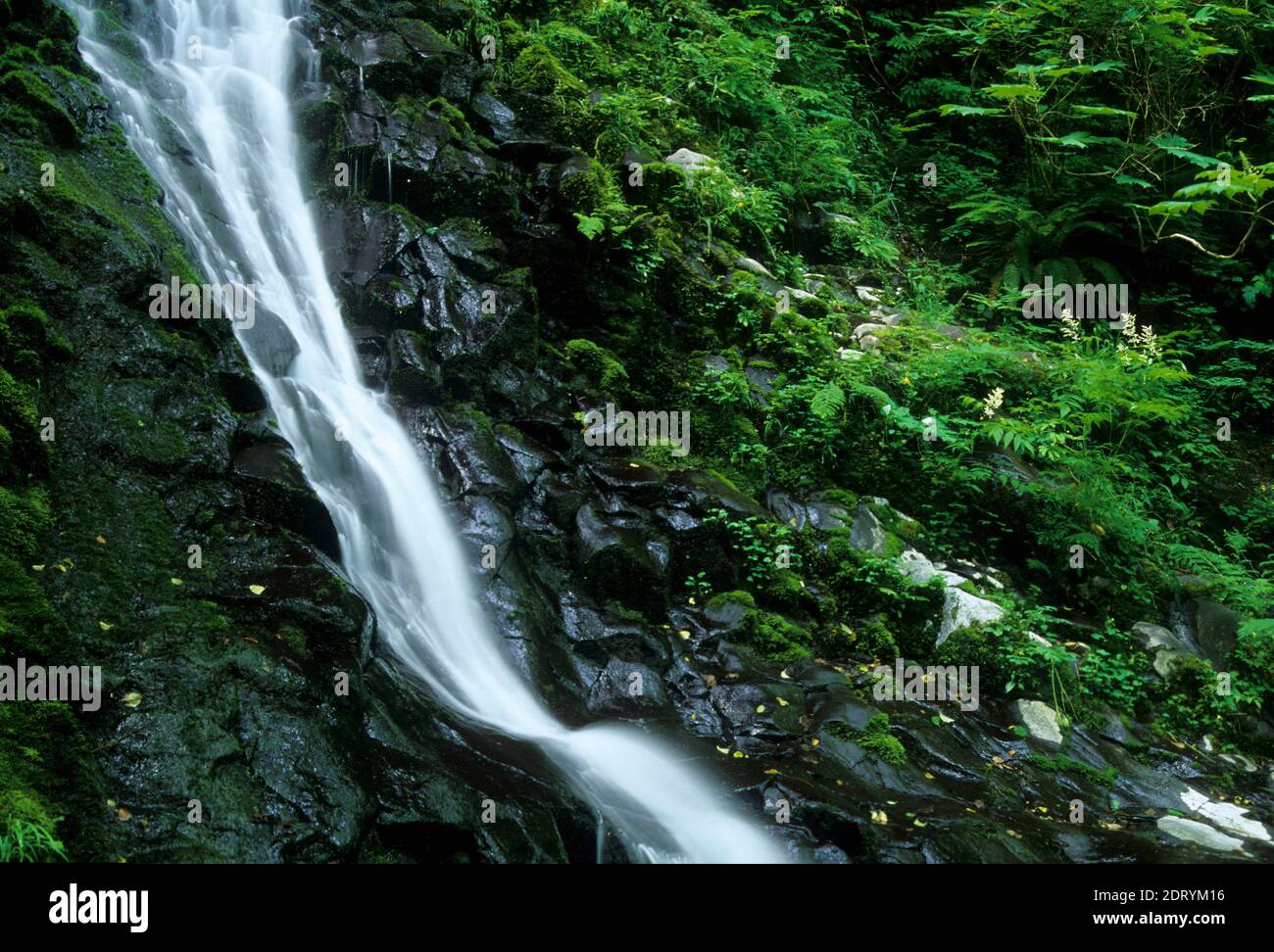Bridge creek falls -Fotos und -Bildmaterial in hoher Auflösung – Alamy