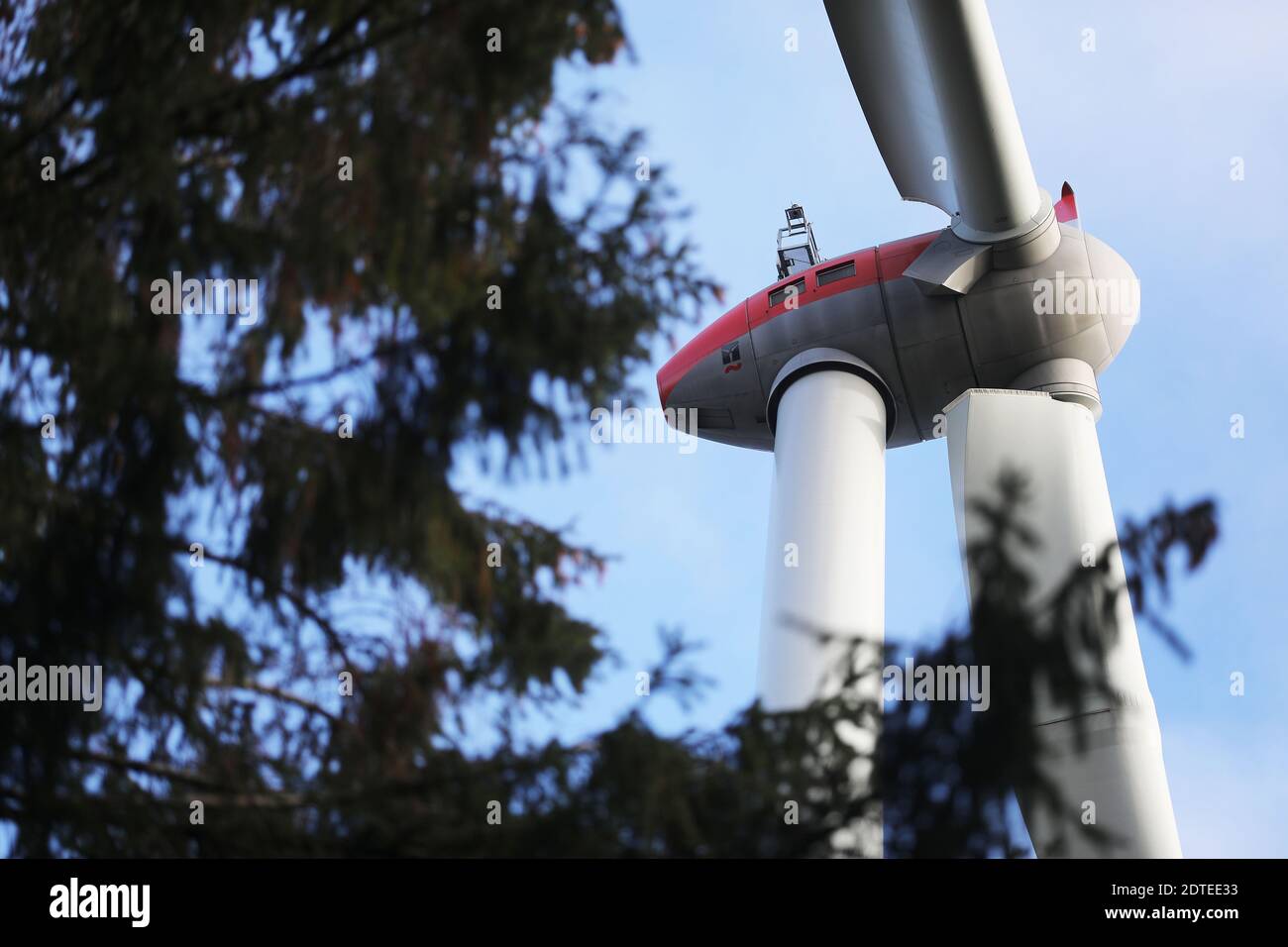 16. Dezember 2020, Nordrhein-Westfalen, Hürtgenwald: Hinter Bäumen im Peterberger Wald bei ...